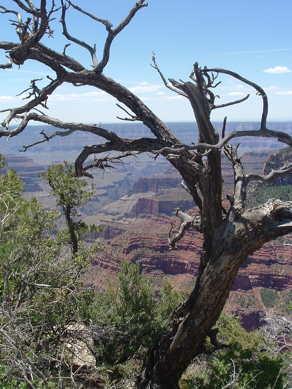 100 Years of Preserving and Protecting National Parks – The Roads Les ...